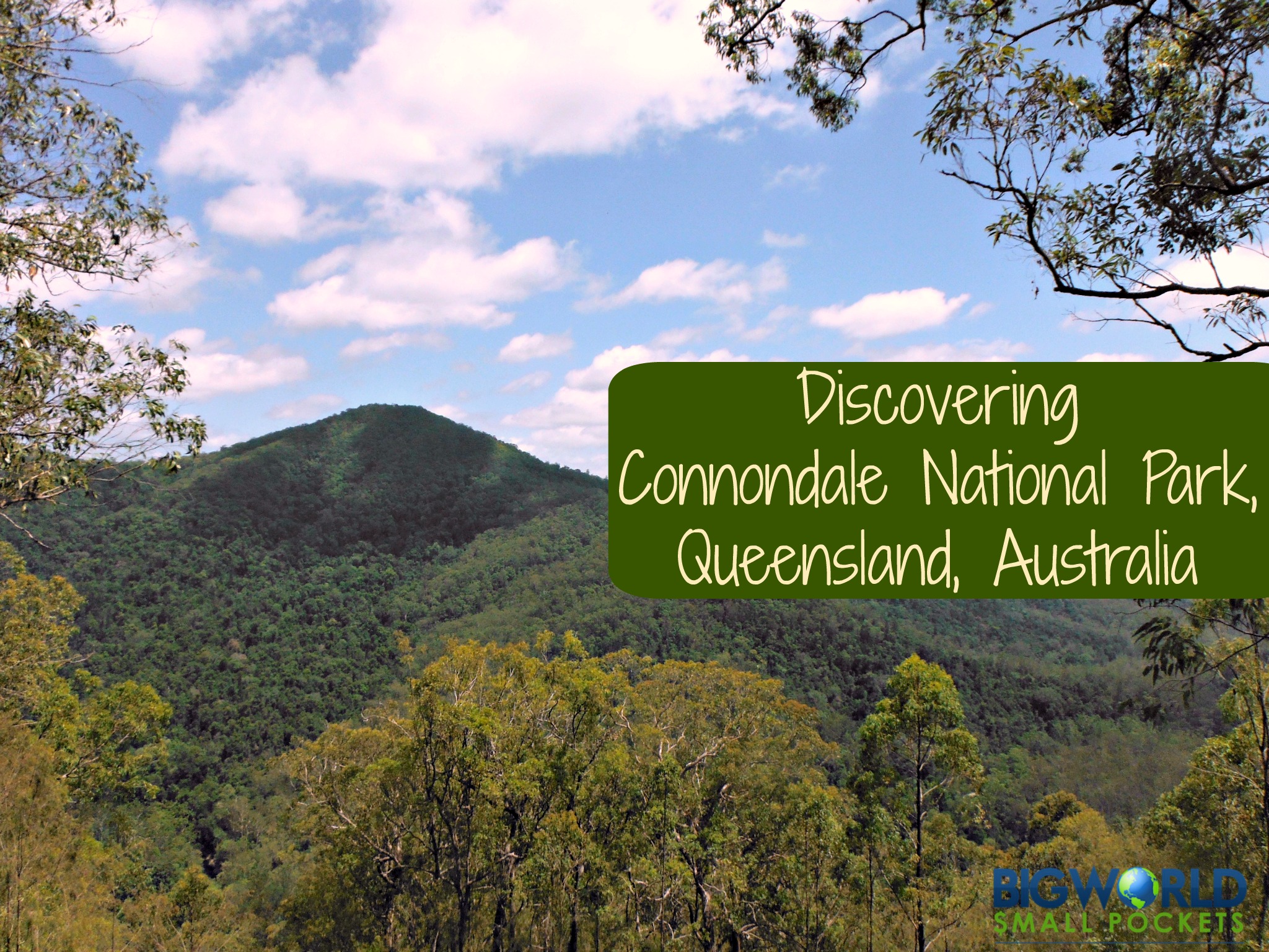 Discovering Conondale National Park, Queensland - Big World Small Pockets