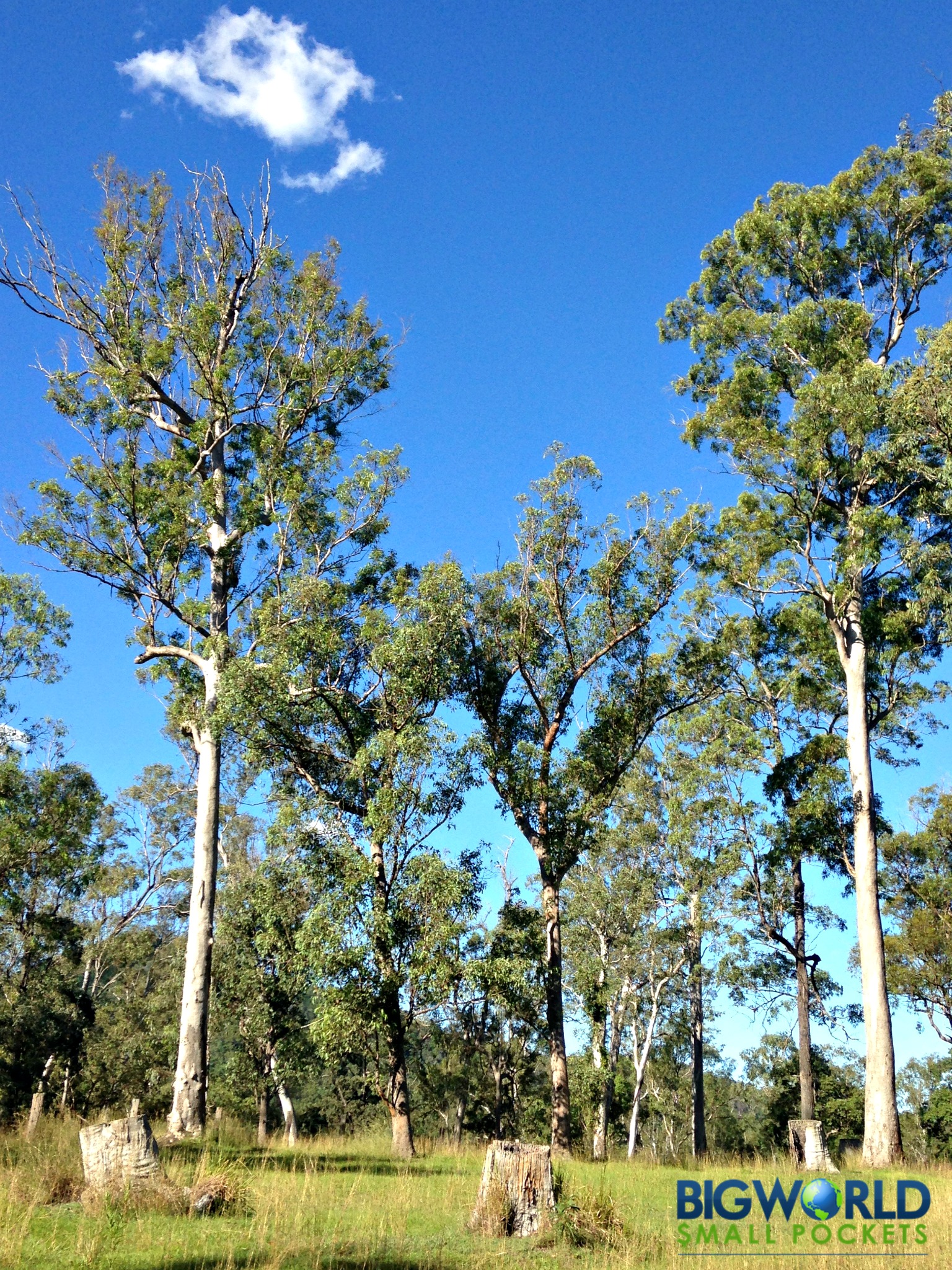 Exploring the Mary Valley, Queensland, Australia - Big World Small Pockets