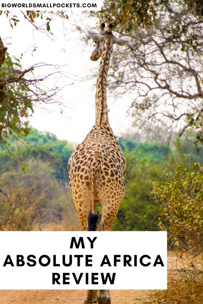 Absolute Africa Review - Big World Small Pockets