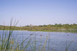 Complete Guide to Visiting Awasa, Ethiopia - Big World Small Pockets