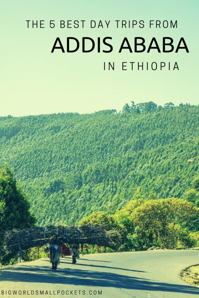 5 Best Day Trips from Addis Ababa - Big World Small Pockets