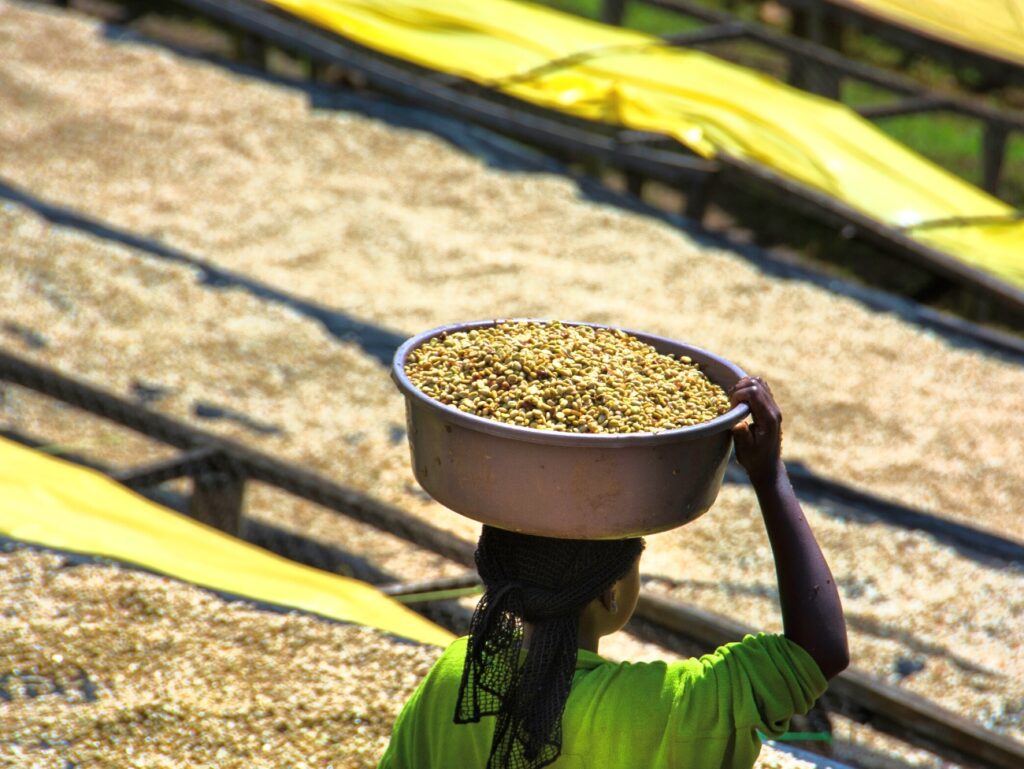 Ultimate 1 Week Rwanda Packing List - Big World Small Pockets