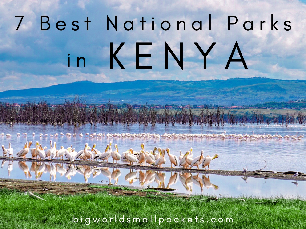 7 Best National Parks in Kenya - Big World Small Pockets