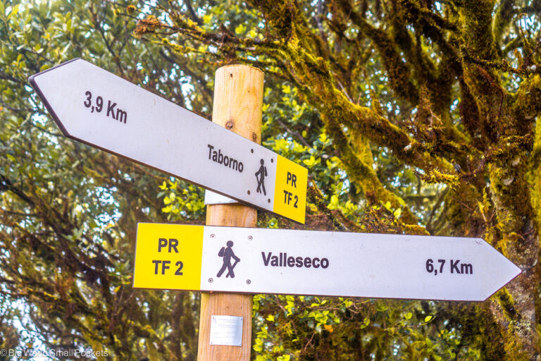 7 Must-Do Hikes in Tenerife - Big World Small Pockets