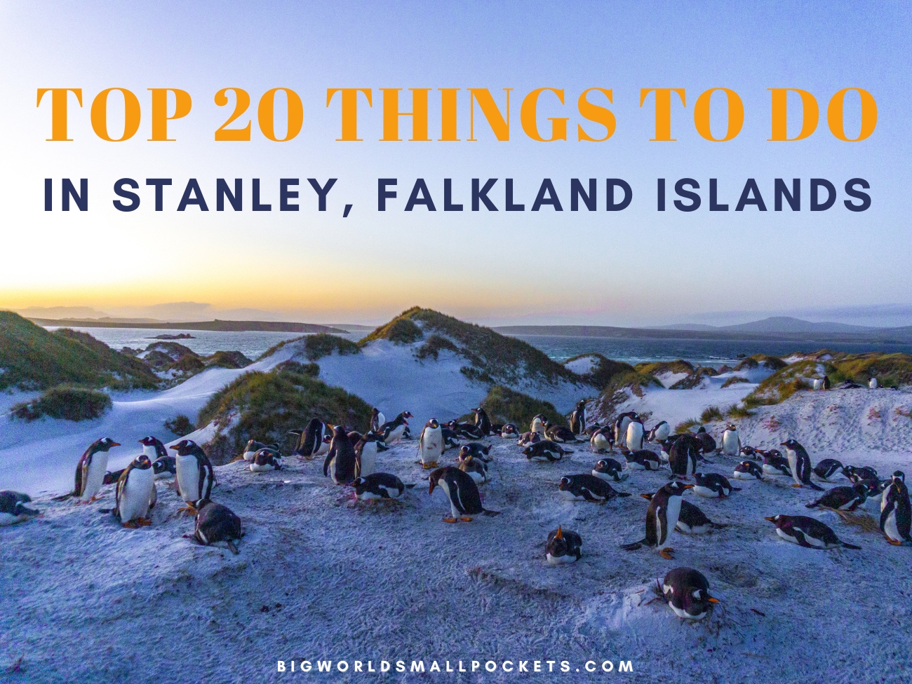 Top 20 Things to Do in Stanley, Falklands - Big World Small Pockets