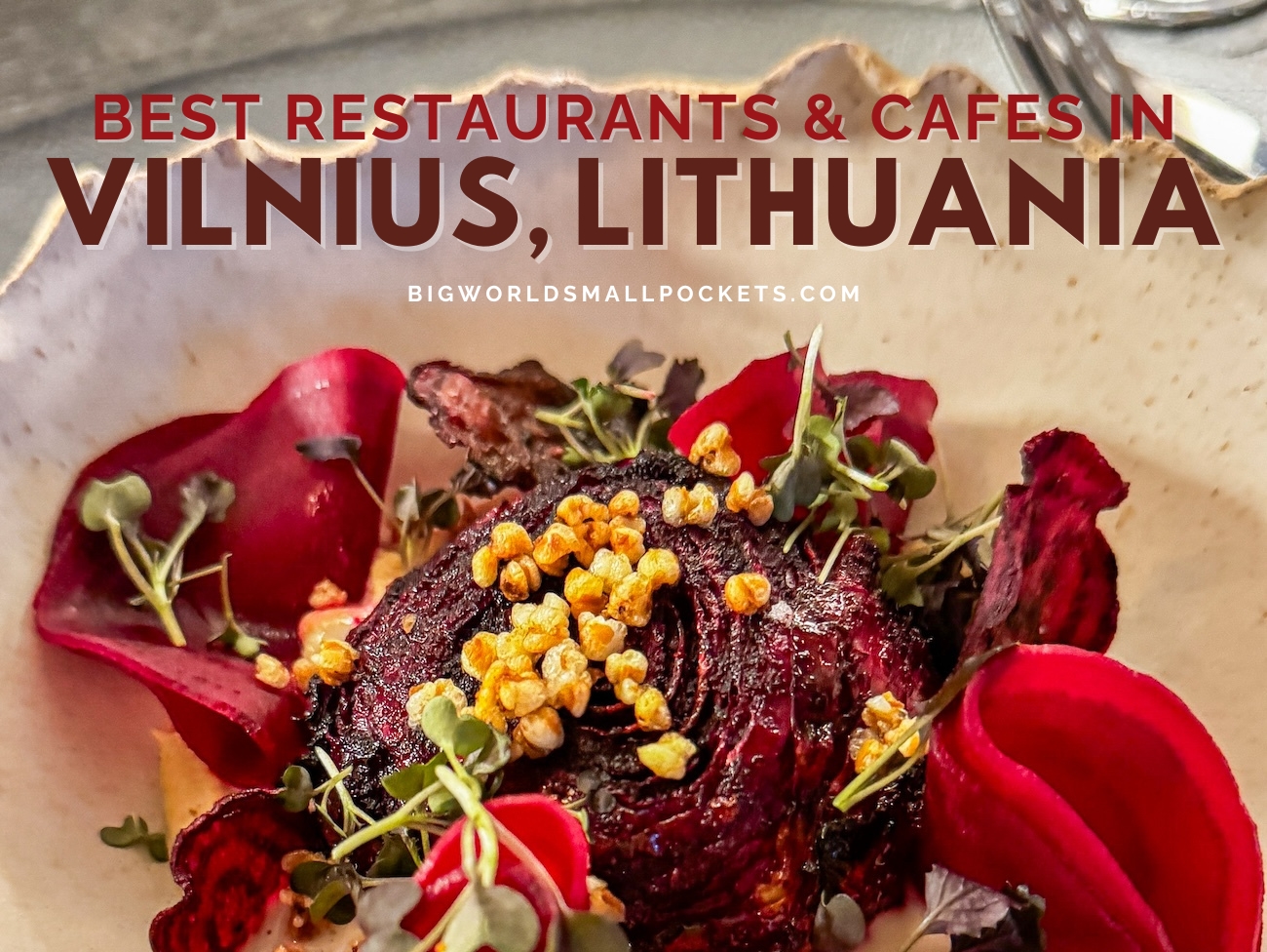 Best Restaurants & Cafes in Vilnius: Good Value Food Guide - Big World ...